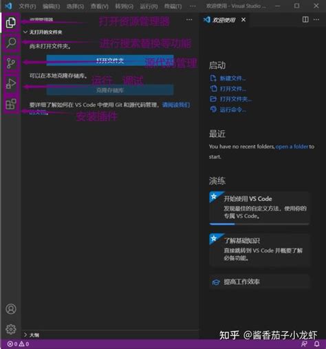 Vscode安装与汉化（超详细） 知乎