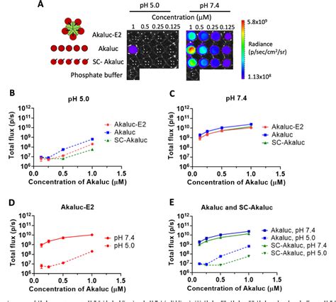 Macromolecular Assembly Of Bioluminescent Protein Nanoparticles For