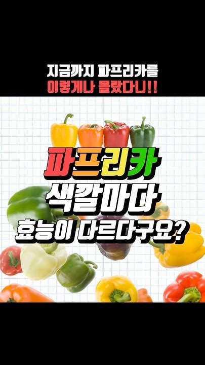 🫑파프리카 색깔마다 효능이 다르다고 파프리카 효능 파프리카 먹는법 파프리카 요리 Youtube
