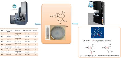 微生物仿生代谢研究双氢青蒿素胞内活性代谢产物中国中医科学院微生物仿生代谢研究双氢青蒿素胞内活性代谢产物