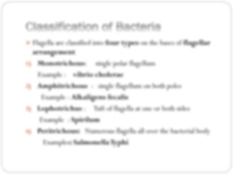 Solution Flagella Staining Ppt Studypool