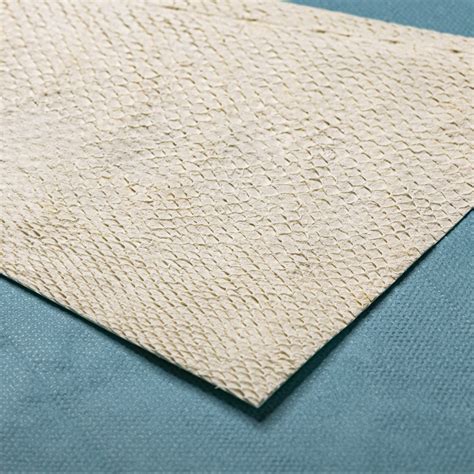 Kerecis Graftguide Kerecis