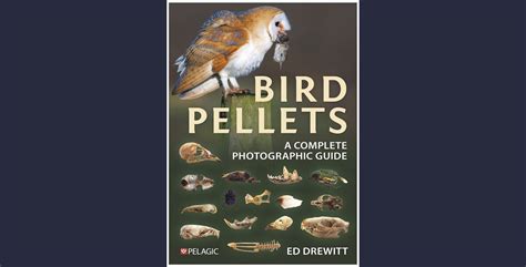 Bird Pellets A Complete Photographic Guide A Book Review 10 000 Birds