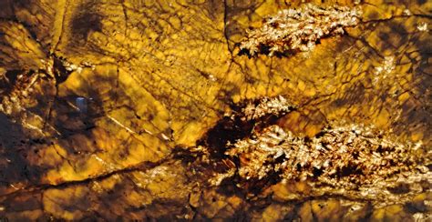 Picasso White Granite Exporter In India Sevenn Seas Stone