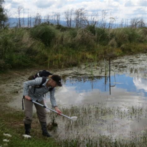 Julia Kasper Entomology Cuartor Phd Museum Of New Zealand Te Papa Tongarewa Wellington