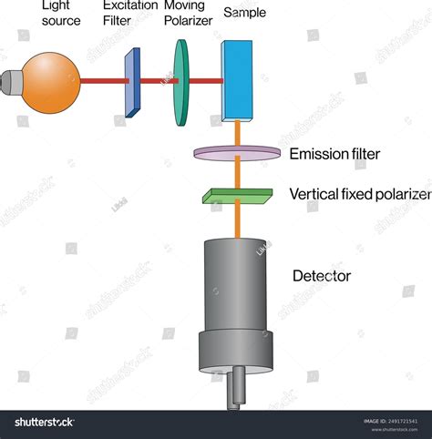 10 Polarization Fluorescence Microscopy Royalty Free Images Stock