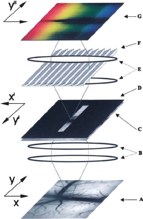 Scheme Of The Imaging Spectroscope Adapted From Malonek Et Al 1996