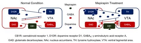 Mepirapim A Novel Synthetic Cannabinoid Induces Addiction Related