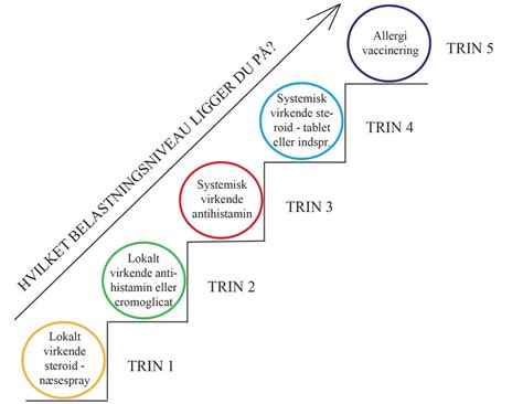Behandling Af Symptomer Ved Allergi Og Høfeber Foldberg Behandling