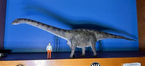 My Rebor Diplodocus Is Finally Done I Had Some Issues At The Beginning