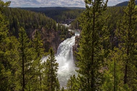 Waterfall In A Pine Forest With A Bridge Hd Wallpaper Rare Gallery