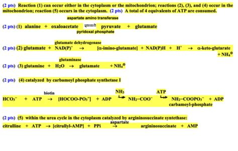 Biochem Final Flashcards Quizlet
