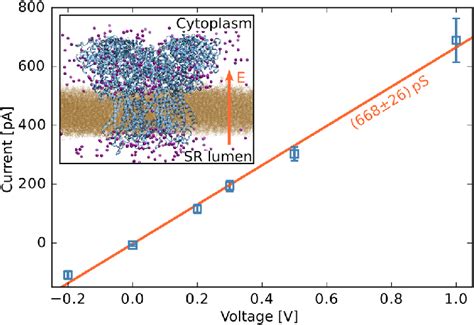 Current Voltage Relationship As Determined For Potassium Ions Of The