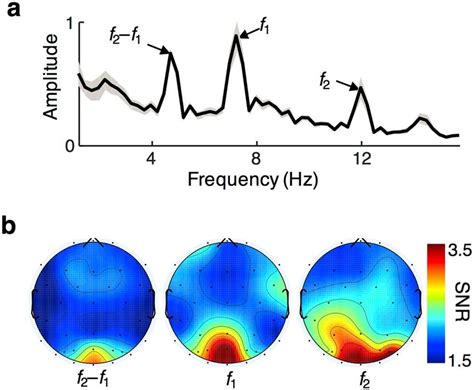 Evoked Fundamental And Intermodulation Frequencies And Their