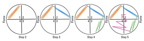 Microbiology Streak Plates Basic Sciences