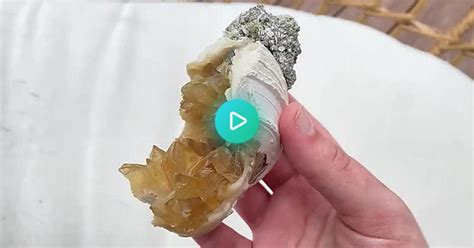 Fossilized Clam With Calcite Okeechobee Florida Album On Imgur