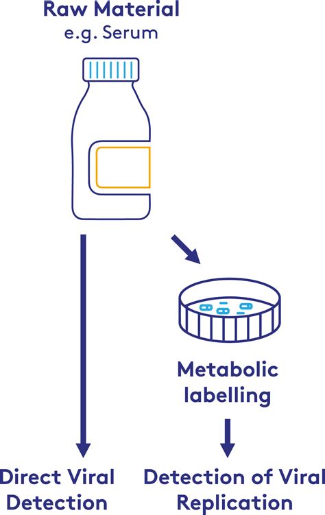 Quality Control Testing For Biologics Raw Materials