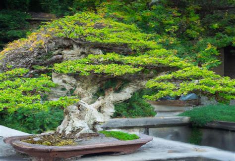 Bonsai Styling And Design Principles GardeningGurus