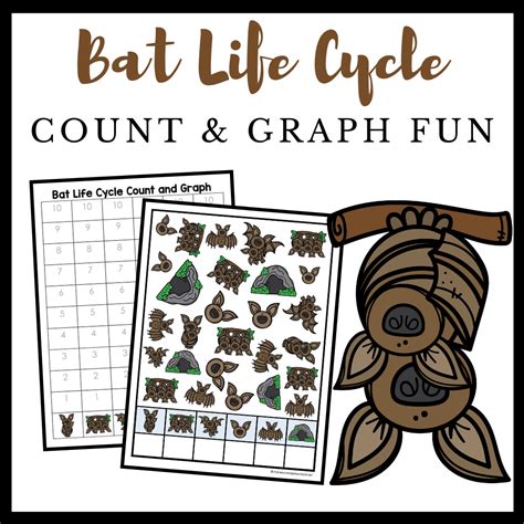 Bat Life Cycle Count And Graph Homeschool Preschool Shop