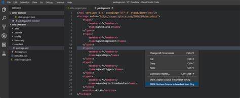 Salesforce Code Crack Salesforce Dxsfdx Setup For Non Scratch Orgdevelopersandbox