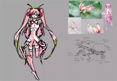 Orchid Mantis Miku In 2025 Orchid Mantis Photo Art Artwork