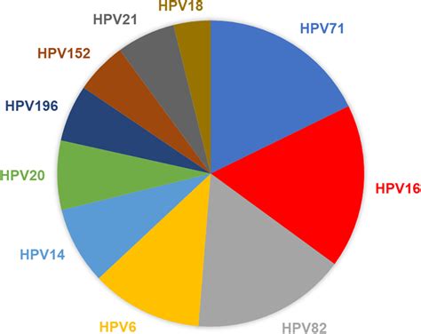 Pie Chart Representing The Top Ten Prevalent Hpv Types In Nigeria Download Scientific Diagram