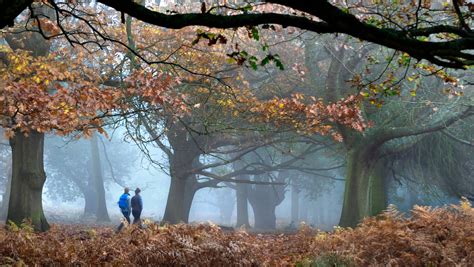 Insect Week Insect Week Added A New Photo