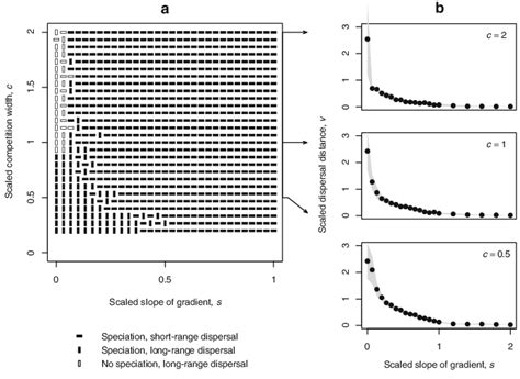 Outcomes Of Asexual Evolution When Boundaries In The X Direction Are