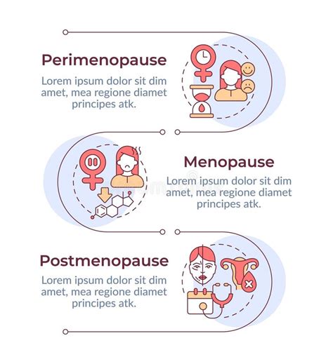 Stages Of Menopause Infographic Vertical Sequence Stock Vector