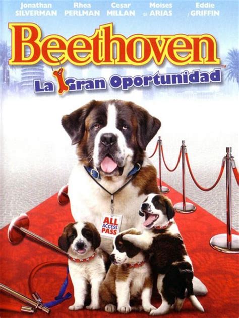 Cartel De La Película Beethoven La Gran Oportunidad Foto 5 Por Un