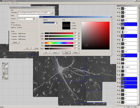 5 Free Image Analysis Software Tools For Microscopy Stressmarq