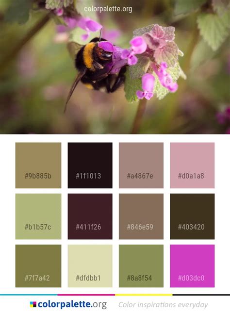 Bee Bumblebee Honey Color Palette
