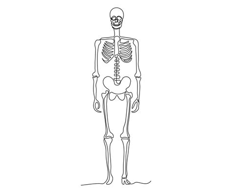 Abstract Full Length Human Skeleton Hand Drawn Continuous Mono Line