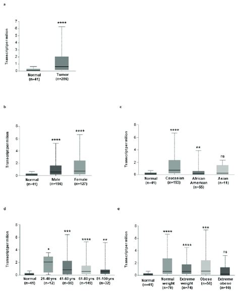 A Expression Of Hepcidin In Colorectal Cancer Samples N 256 And Download Scientific