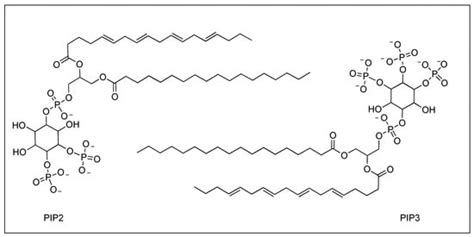 Sci Free Full Text In Silico Study Of Potential Small Molecule Tipe2 Inhibitors For The Sci Free Full Text In Silico Study Of Potential Small Molecule Tipe2 Inhibitors For The