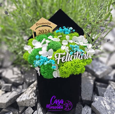 Toca Absolvire Casaminunataro