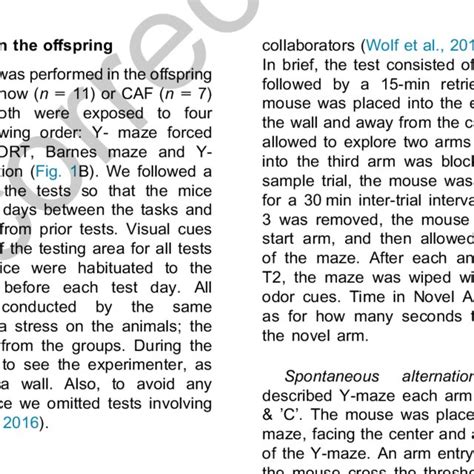Prenatal Programming Model And Behavioral Phenotyping For Prenatal
