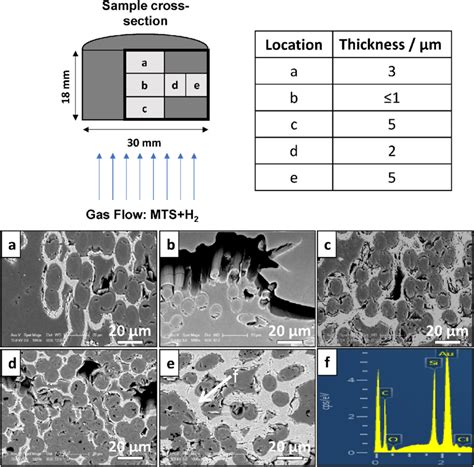 A E Microstructures F Eds Analysis And Thickness Of The Sic Coating