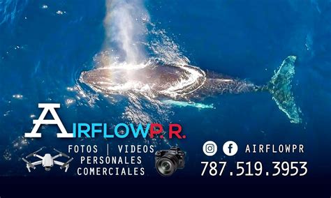 Café De Puta Madre Added A New Photo Café De Puta Madre