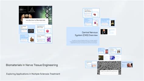 Biomaterials In Nerve Tissue Engineering By Giorgia Mangano On Prezi