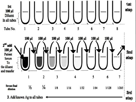 Titration Dilution Calculations At Hayley Stokes Blog