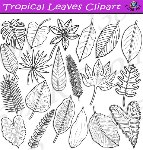 Tropical Leaves Clipart Set Download Clipart 4 School