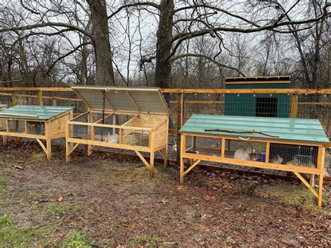 Rabbit Hutch Build Artofit