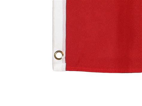 Wessex Anglo Saxon 3x5 100d Flag Golden 2 Legged Dragon Wessex 519