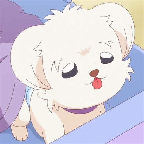 Fuku Asias Crossover Adventures Wiki Fandom