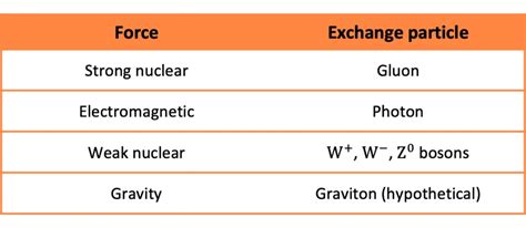 The Fundamental Forces Of Nature For A Level Physics