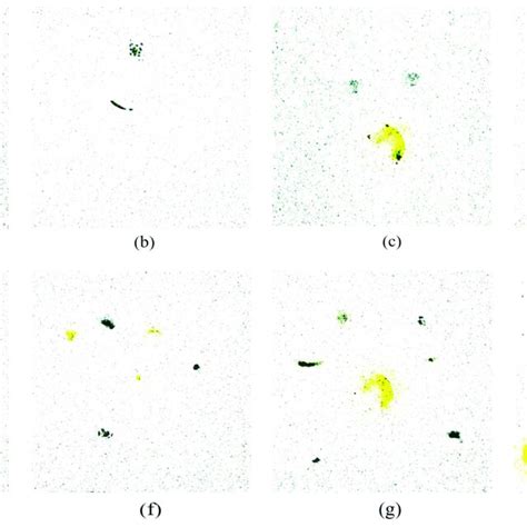 Mosaic Data Enhancement Download Scientific Diagram