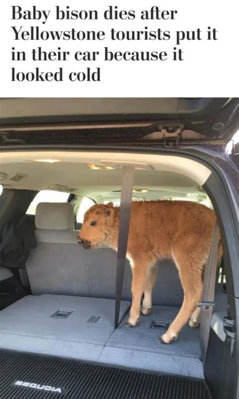 Excuse Me 9gag Excuse Me 9gag