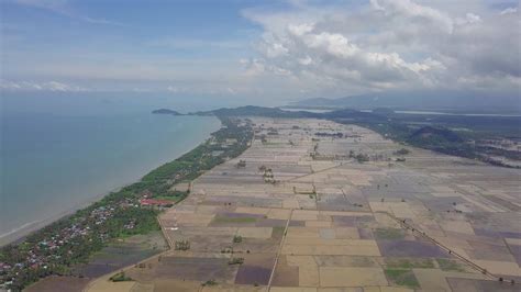 Aerial View Flooded Paddy Field Near Kuala Muda Kedah During Bright