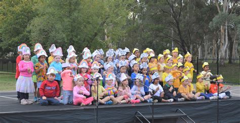 Chris Shaddock Chrisshaddock Twitter